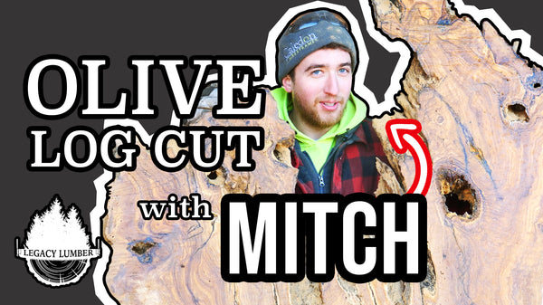 1200 Year Old Olive Log Cut with Mitch! - LegacyLumber